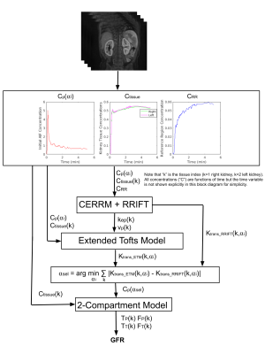 Use of Reference Region Model to Improve Arterial Input Function Selection for Estimating Kidney ...