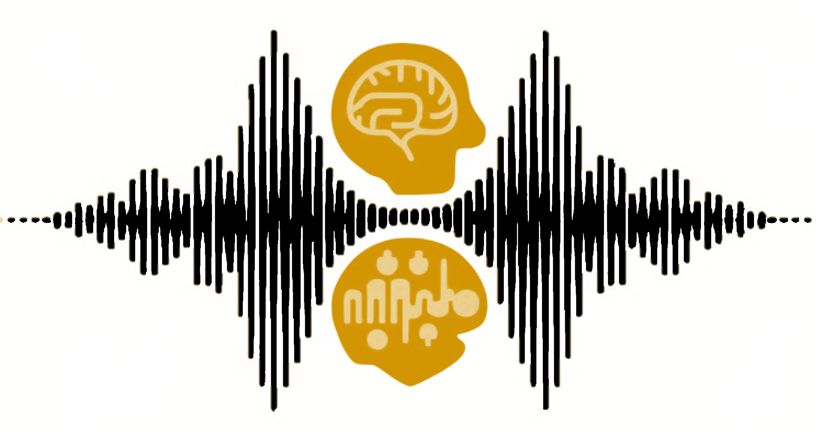 Virtual implantation using conventional scalp EEG delineates seizure ...